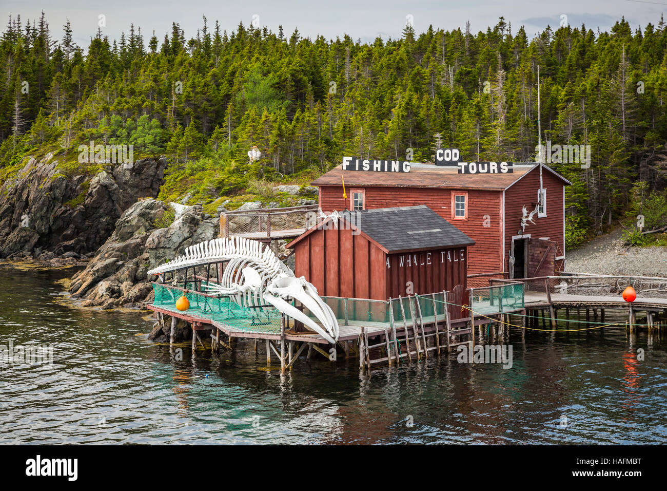 Fishing stages near Twillingate, Newfoundland and Labrador, Canada ...