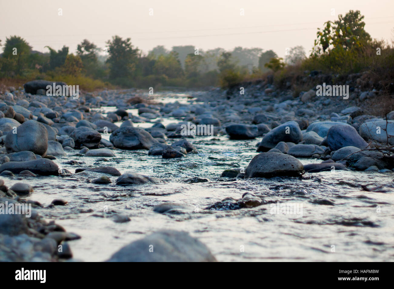 Stones on a river bed with trees Stock Photo - Alamy