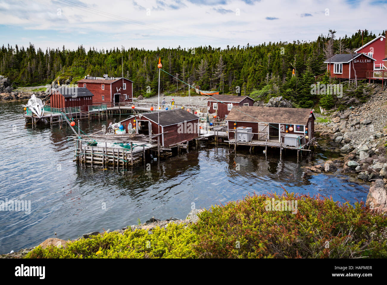 Fishing stages near Twillingate, Newfoundland and Labrador, Canada ...