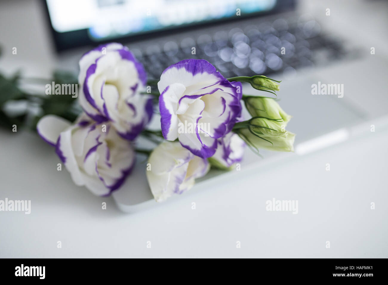 Flowers computer keyboard hi-res stock photography and images - Alamy