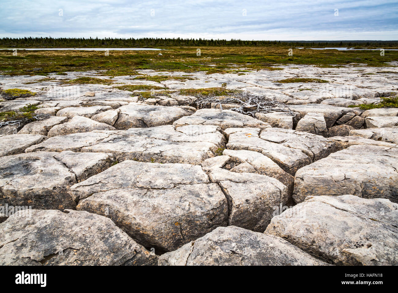 Large white rocks on the White Rocks walking trail near Flower Cove ...