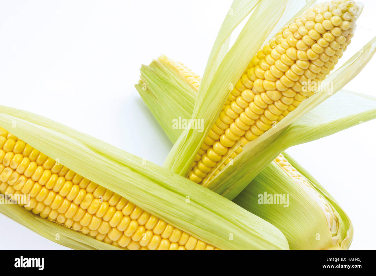 Fresh sweet corn Stock Photo - Alamy