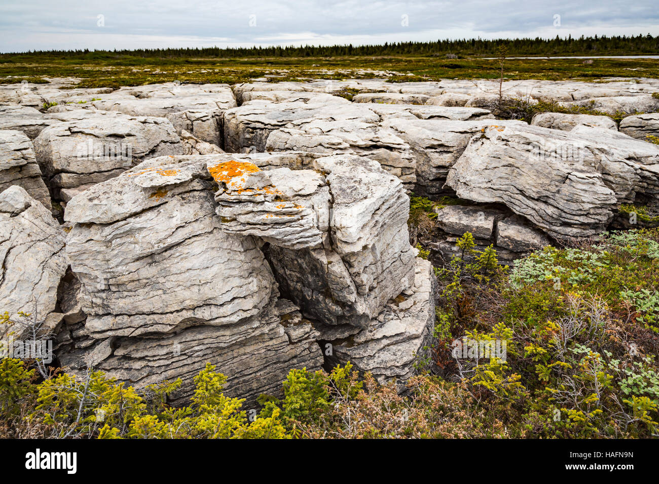 Large white rocks on the White Rocks walking trail near Flower Cove ...