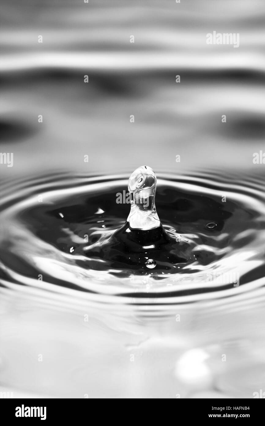 Water drop striking water, black and white Stock Photo - Alamy
