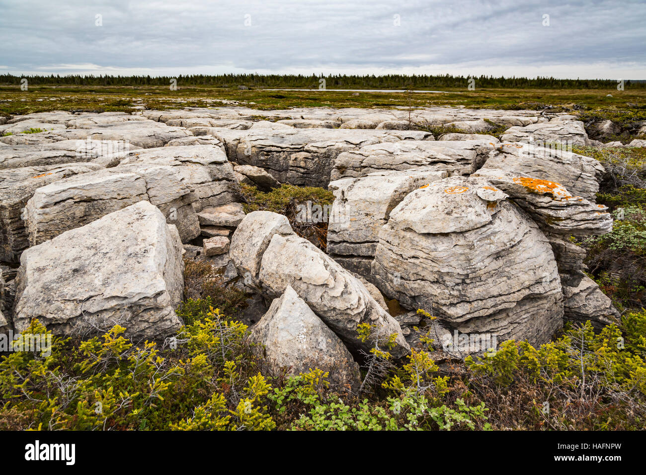 Large white rocks on the White Rocks walking trail near Flower Cove ...