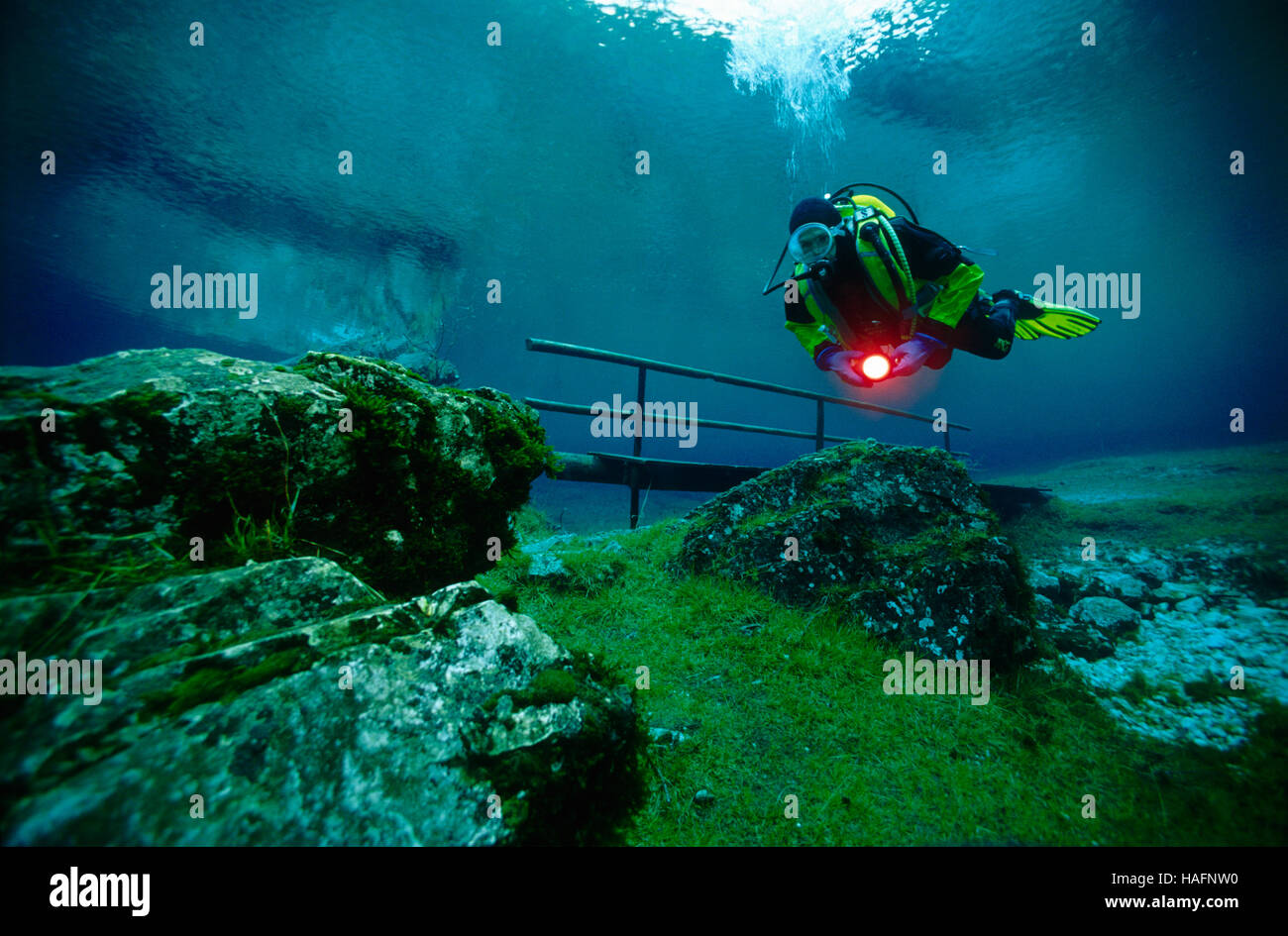 Scuba diver diving in Lake Gruenen See, Tragoess, Styria, Austria ...