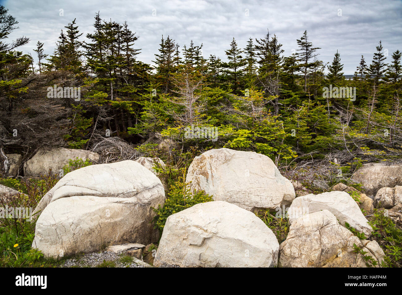 Large white rocks on the White Rocks walking trail near Flower Cove ...