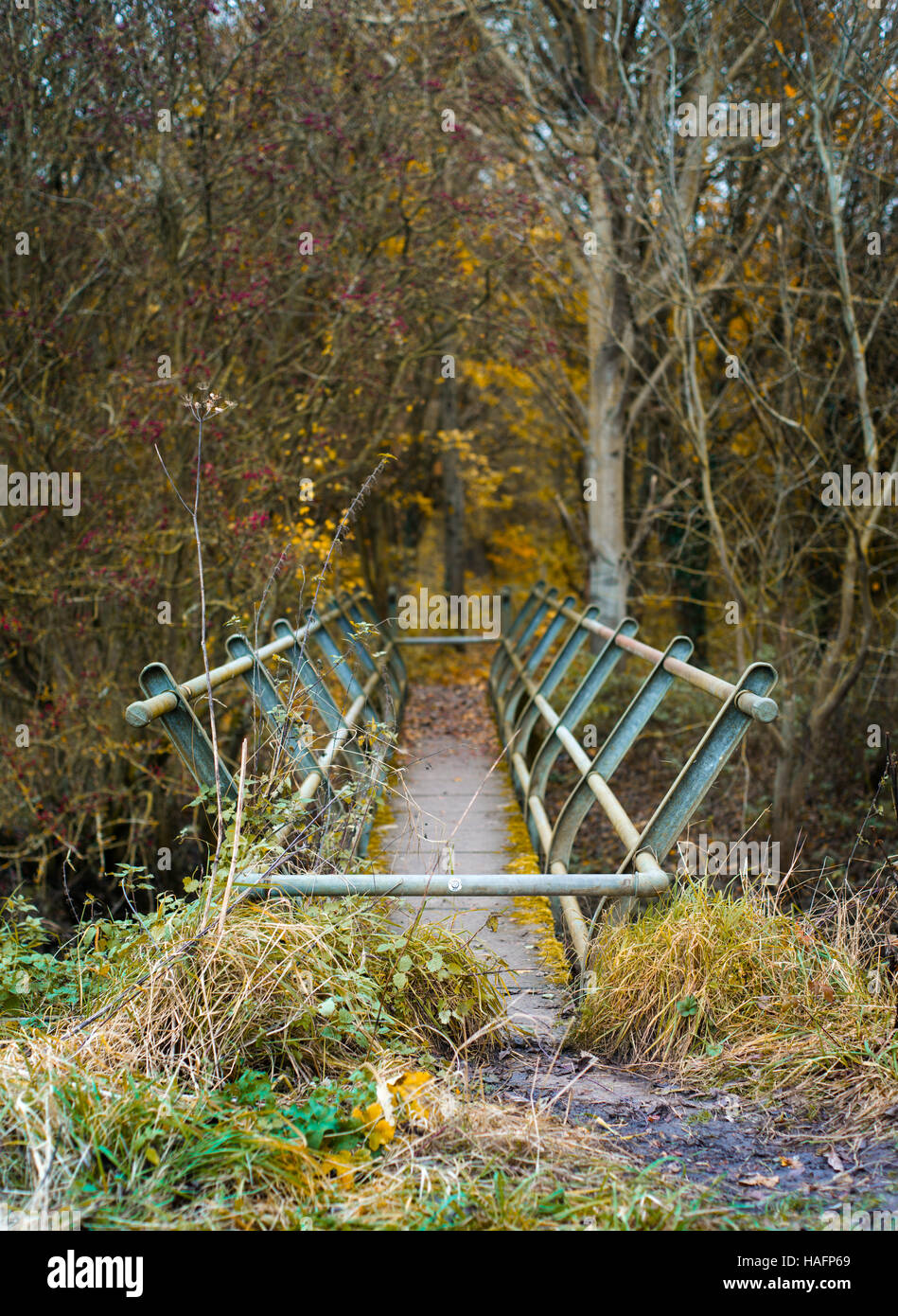 Small footbridge on The Blue Lias Rings and Millennium Way footpath ...