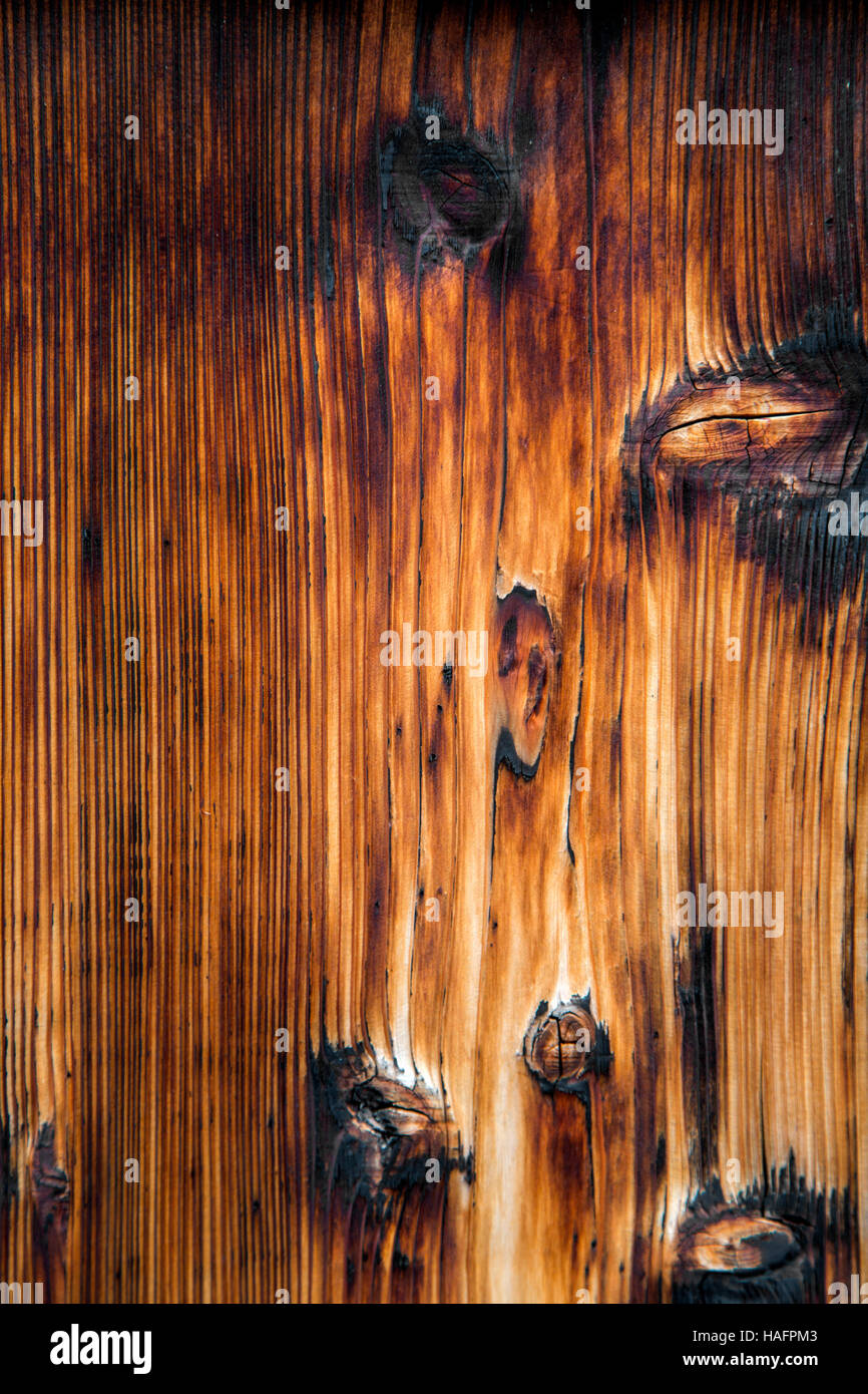 Close up view at wooden texture Stock Photo - Alamy