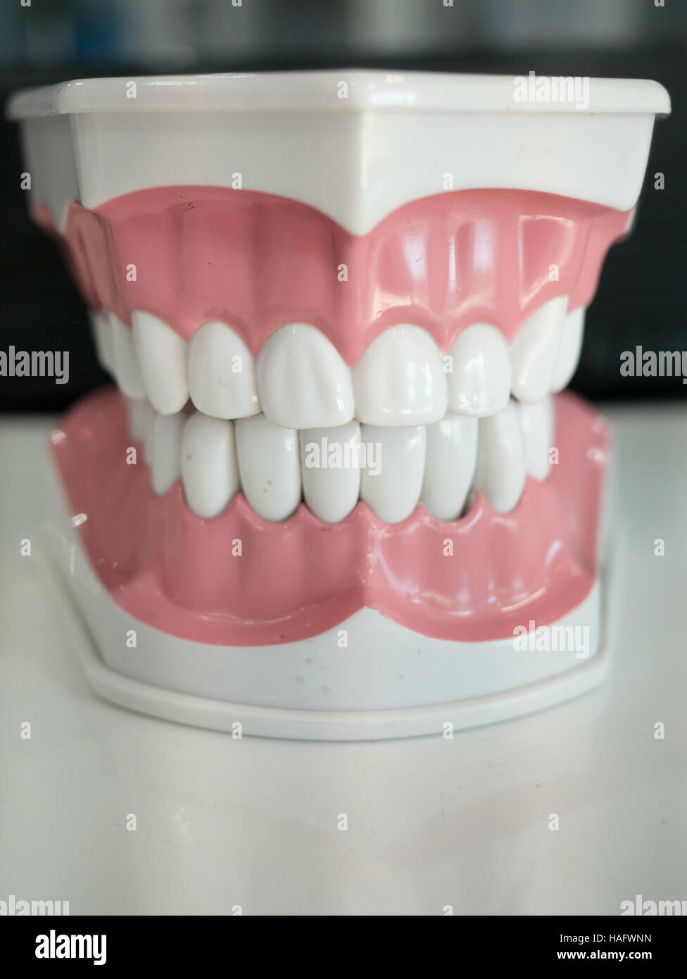 Dential model of a white teeth Stock Photo - Alamy