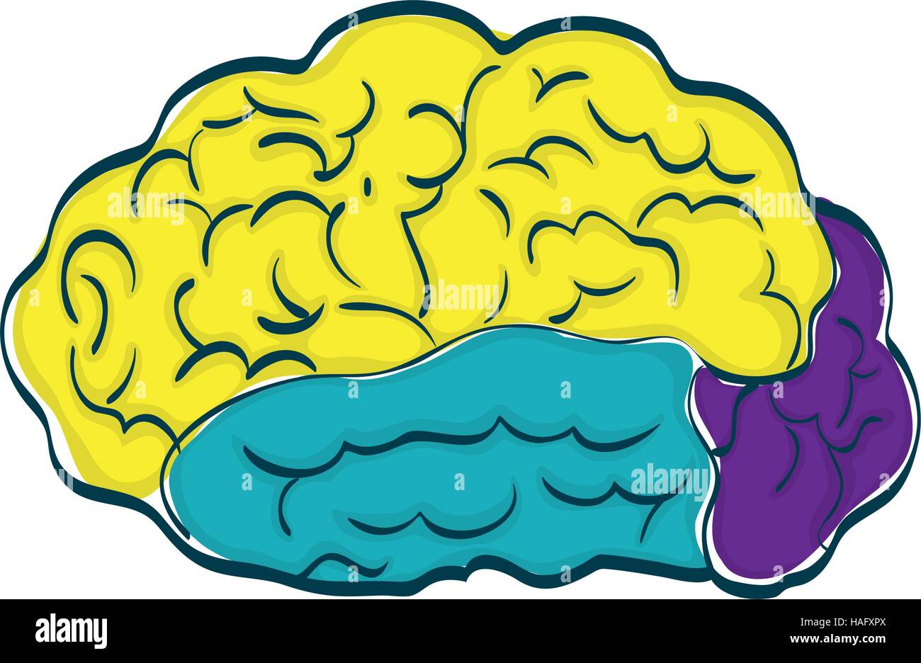 Human brain mind Stock Vector Image & Art - Alamy