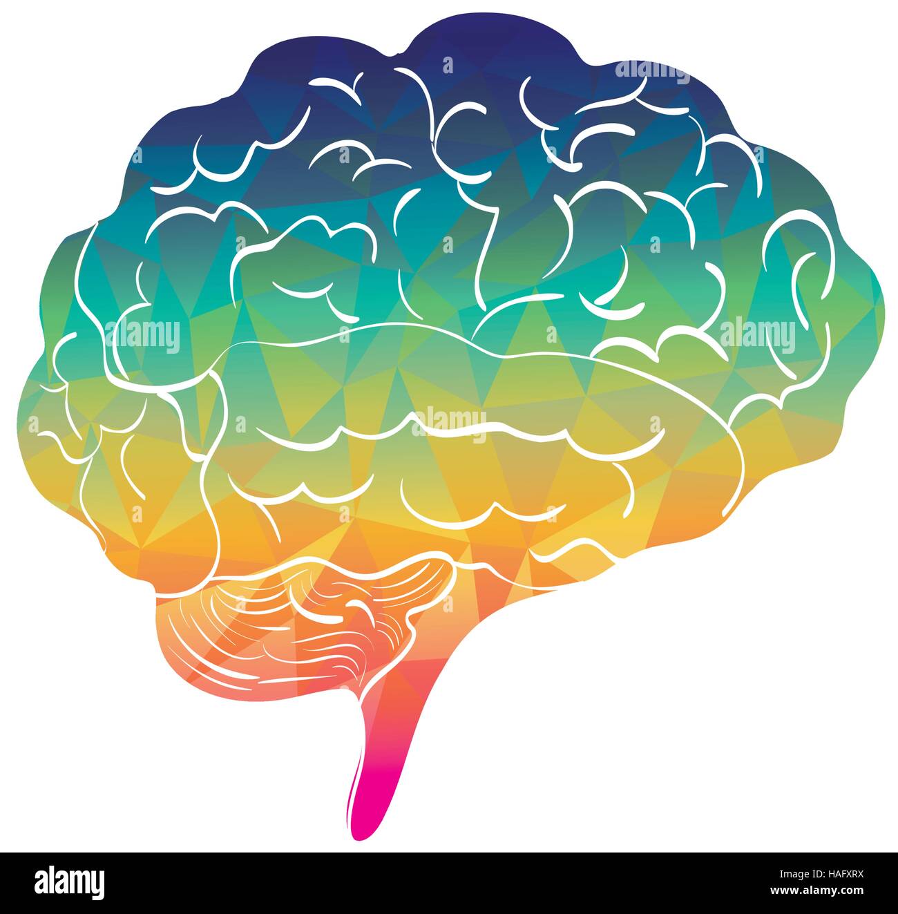 Human brain mind Stock Vector Image & Art - Alamy