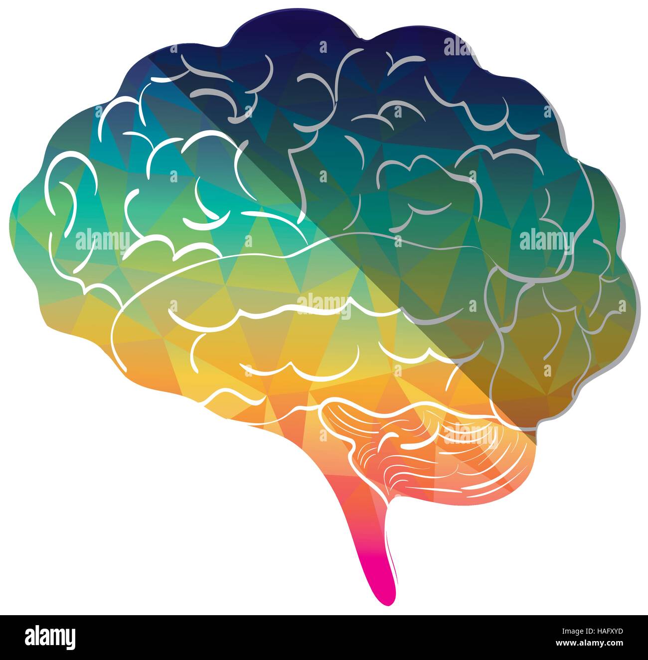 Human brain mind Stock Vector Image & Art - Alamy