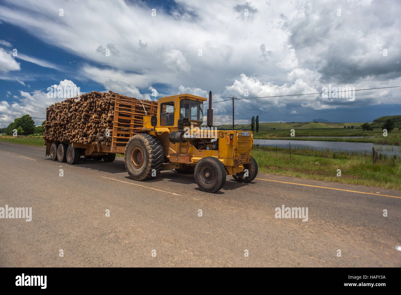 Tractor trailer driver with cargo of forestry cut wood logs in rural ...