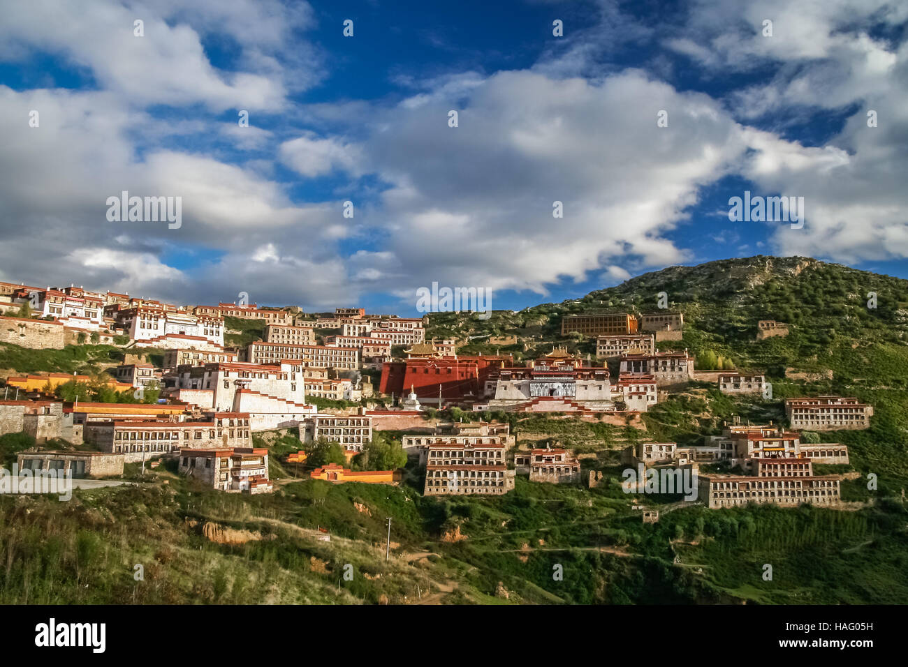 Gyantse monastery near Lhasa in central Tibet Stock Photo - Alamy