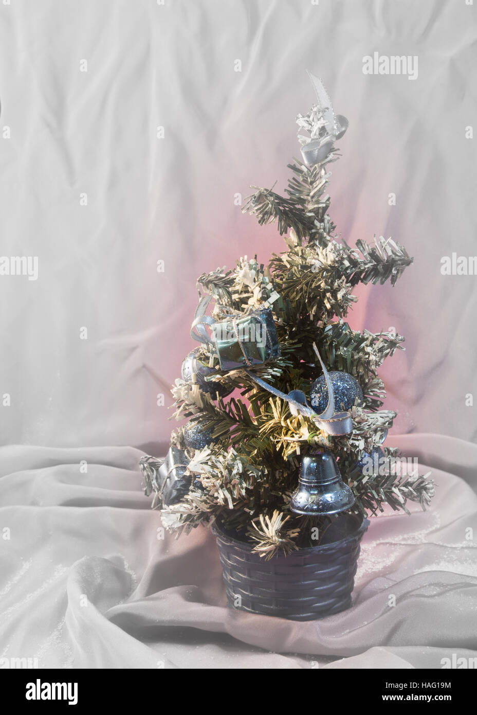 Spruce on a different background to postcards and congratulations to ...