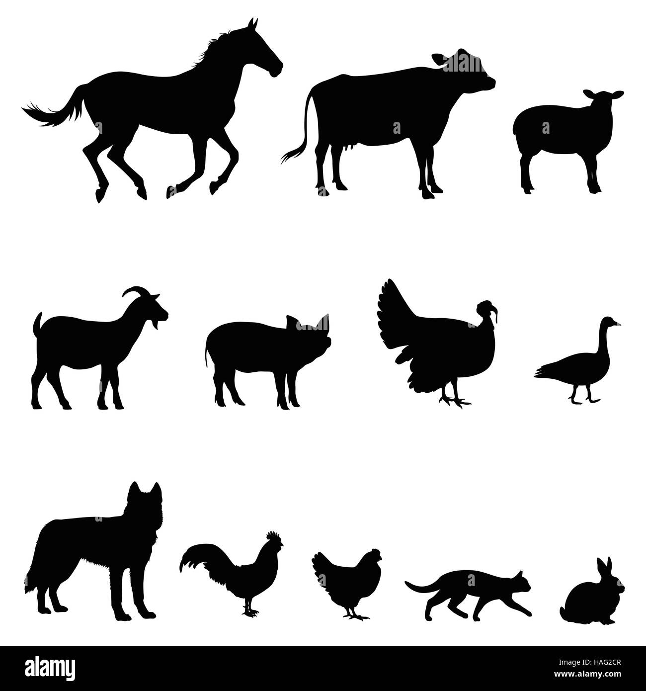 Set vector farm animals hi-res stock photography and images - Alamy