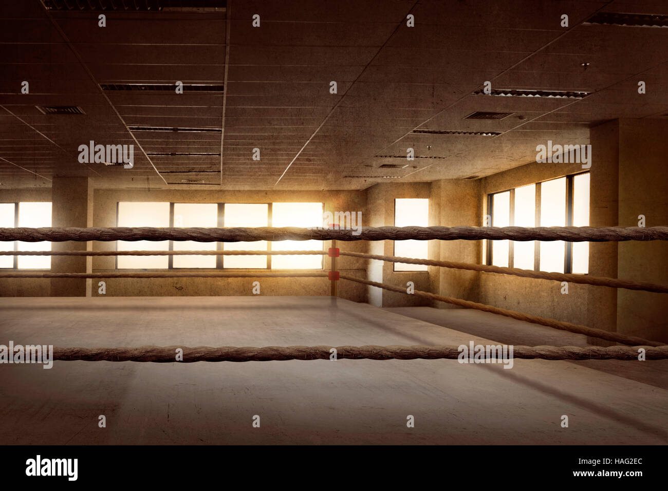 Empty ring boxing arena for training in the gym Stock Photo - Alamy