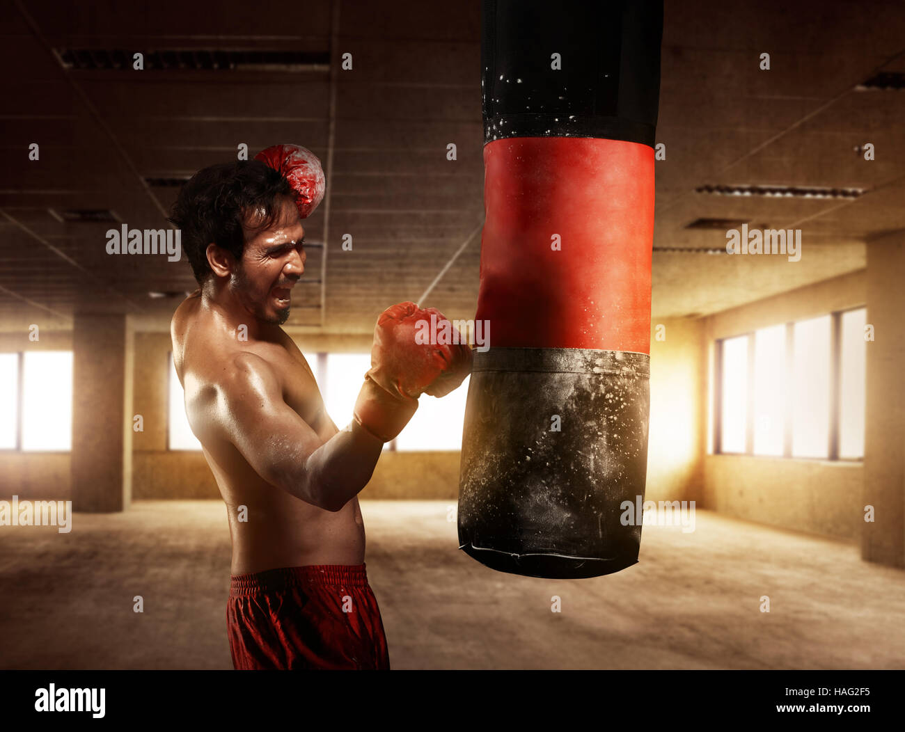 Young boxer exercising with punching the bag on the gym Stock Photo - Alamy