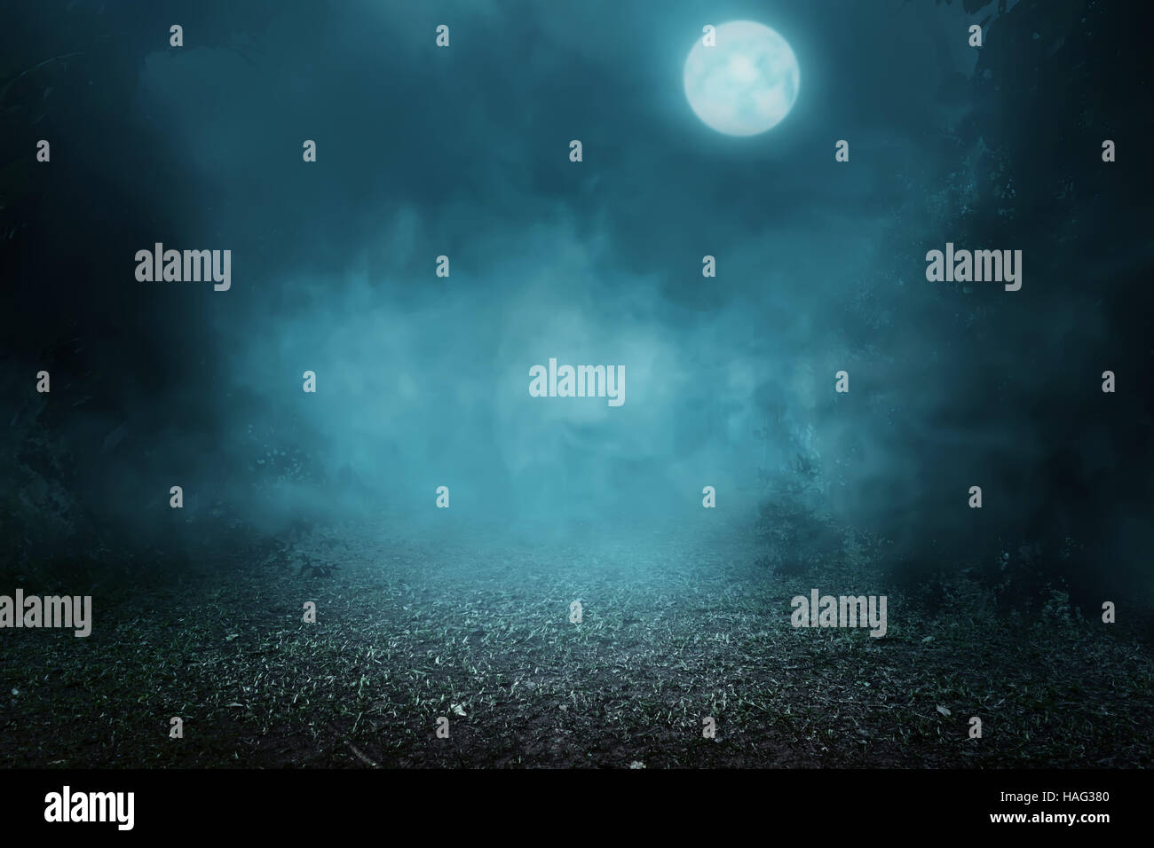 Spooky foggy forest on the moonlight Stock Photo - Alamy