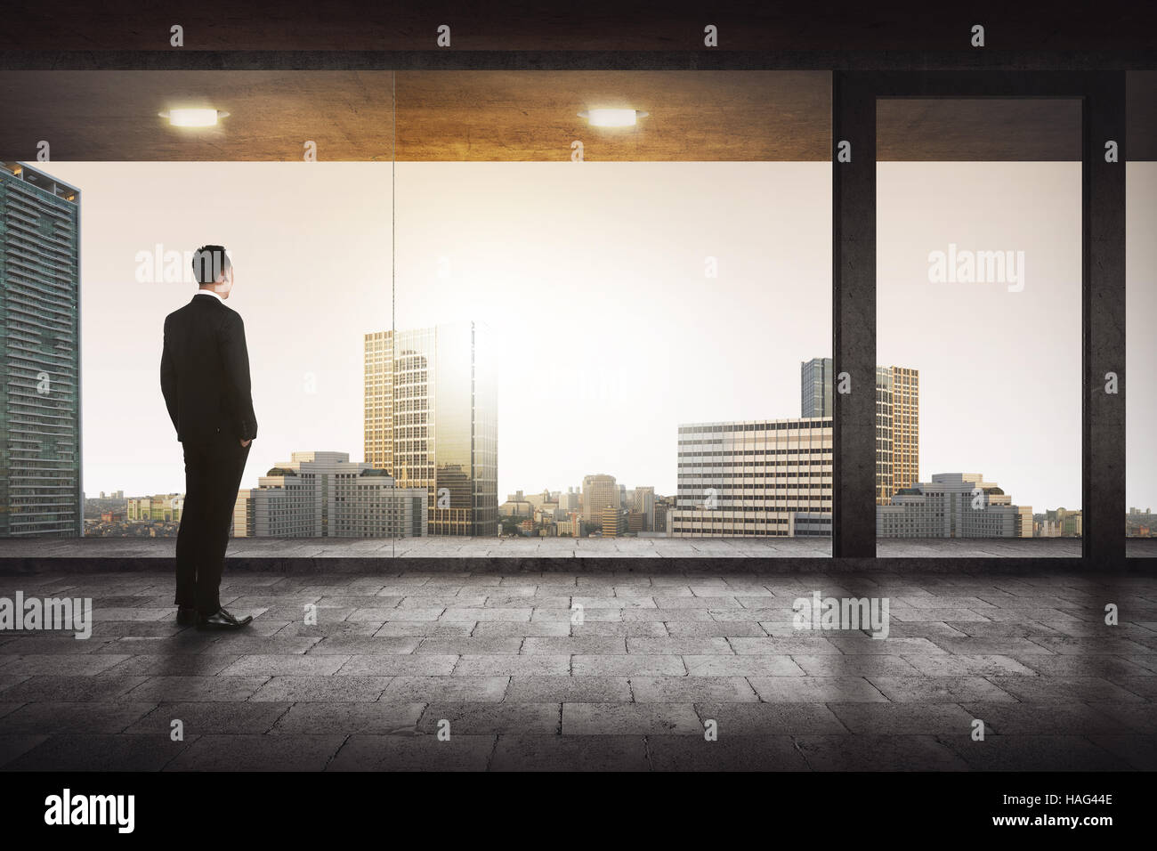 Back view of successful manager looking the city from his office Stock ...