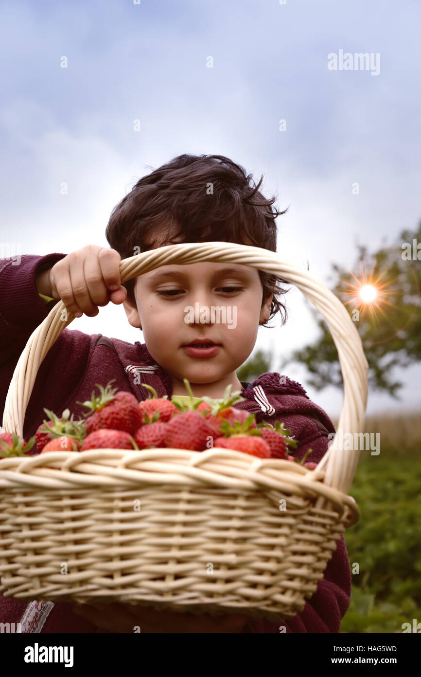 Helping at the farm hi-res stock photography and images - Alamy