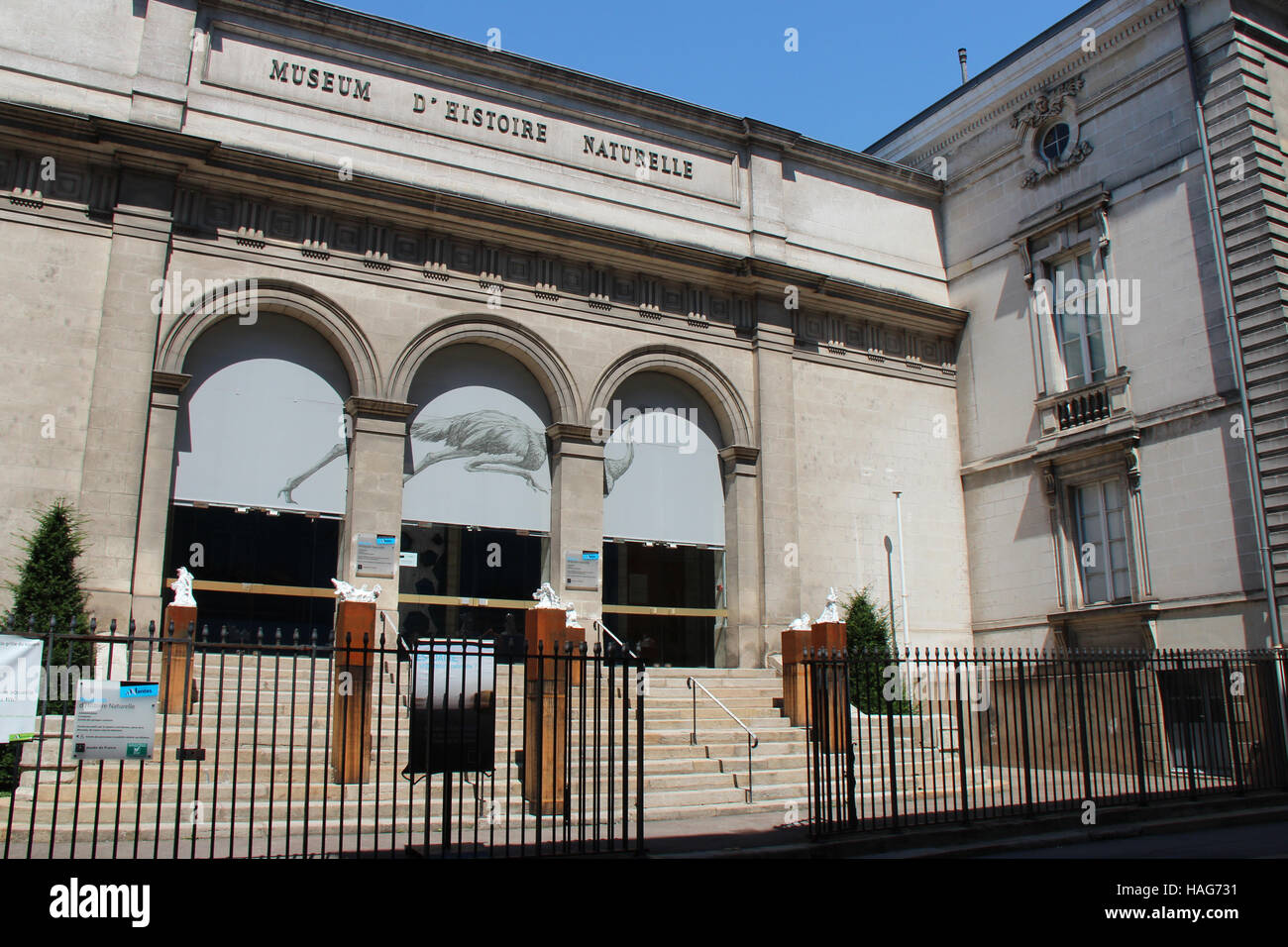 The Natural history museum in Nantes (France Stock Photo - Alamy