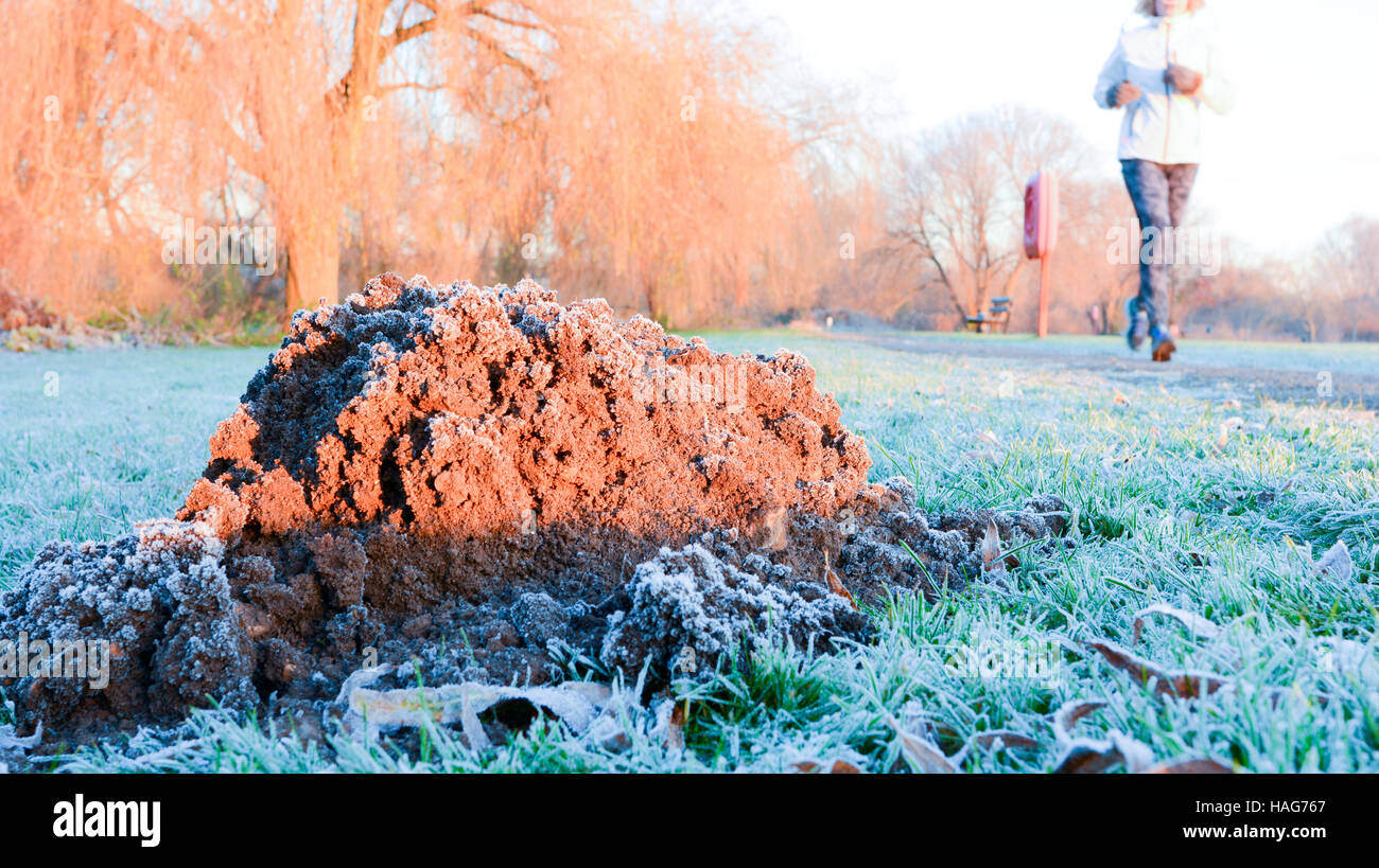 Woman and running and frosty hi-res stock photography and images - Alamy