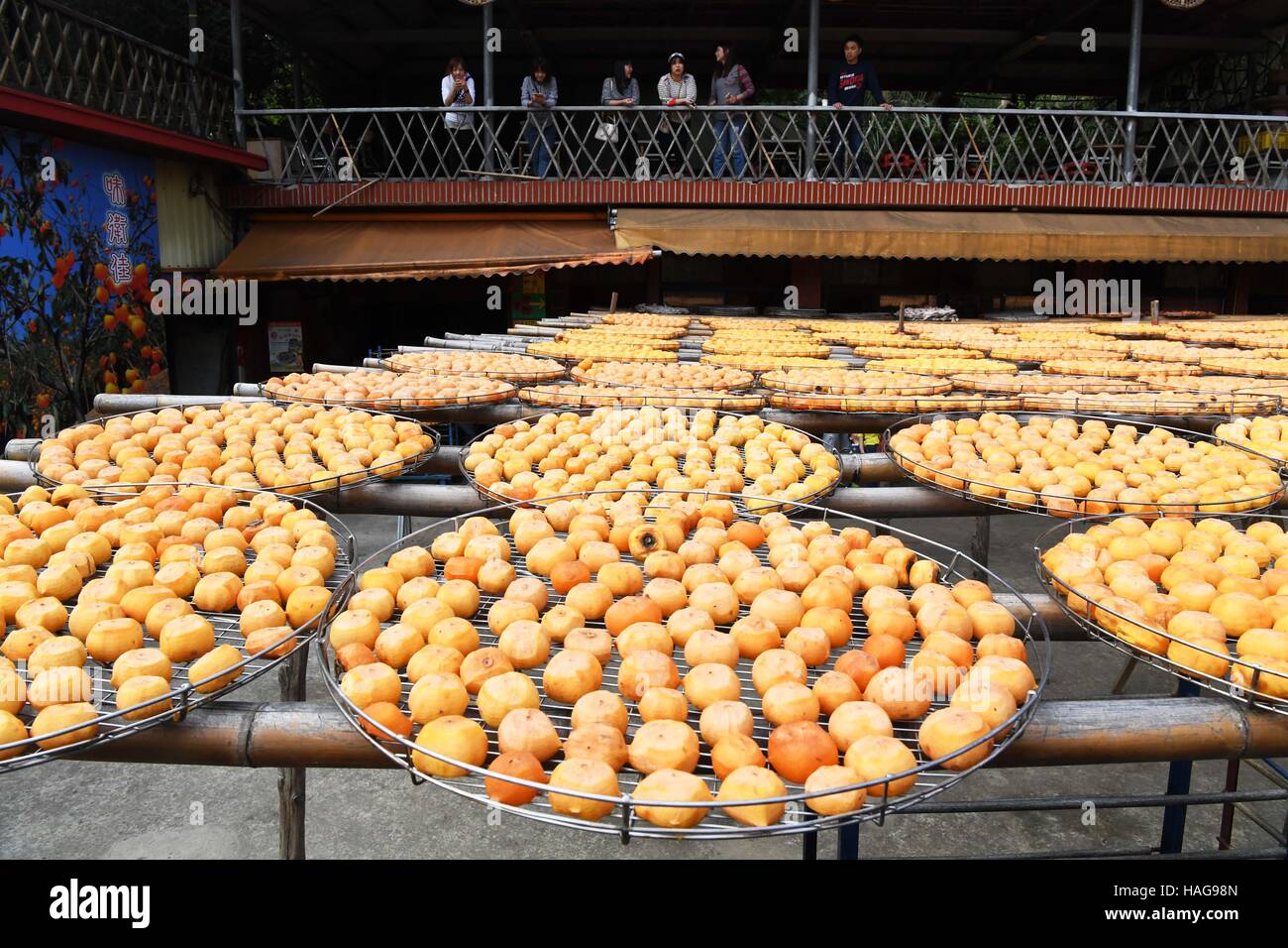 Hsinchu, China's Taiwan. 29th Nov, 2016. Tourists visit a persimmon ...