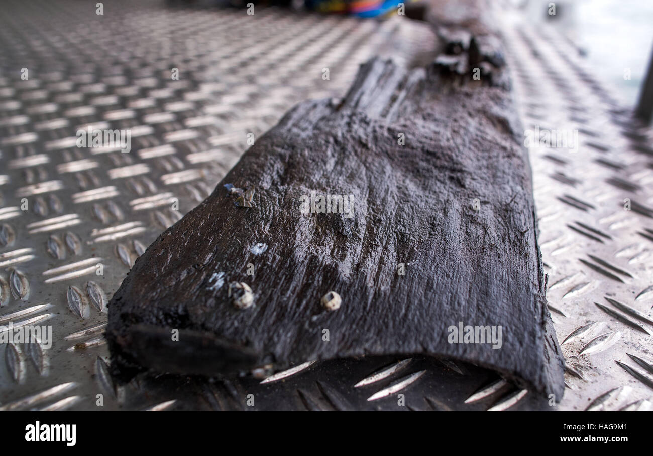 Wismar, Germany. 30th Nov, 2016. The wooden piece of a medieval cog ...