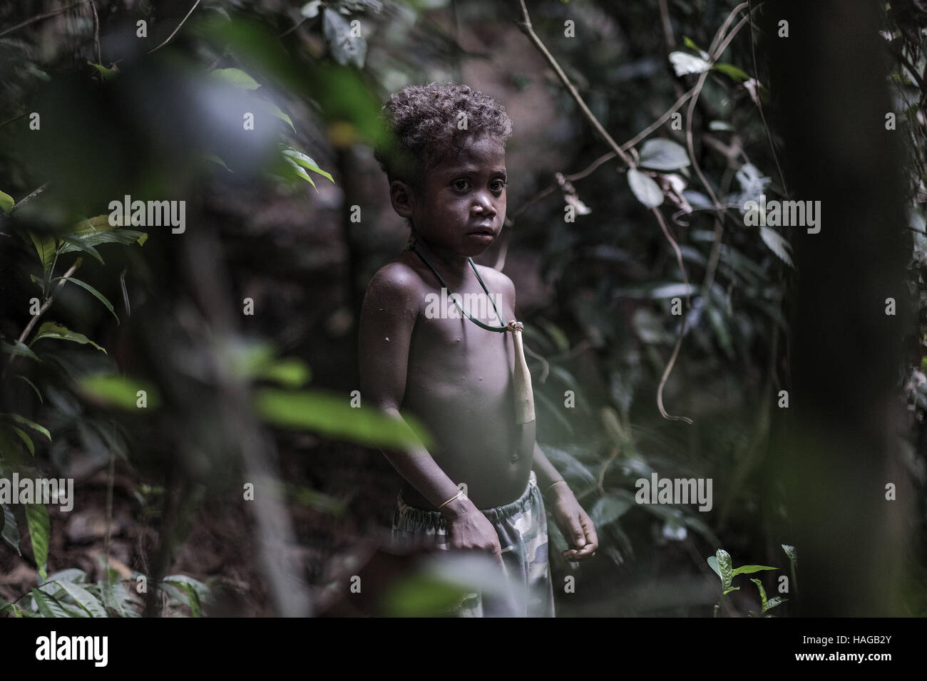 Gua Musang, Kelantan, Malaysia. 22nd Nov, 2016. A boy from the Bateq ...