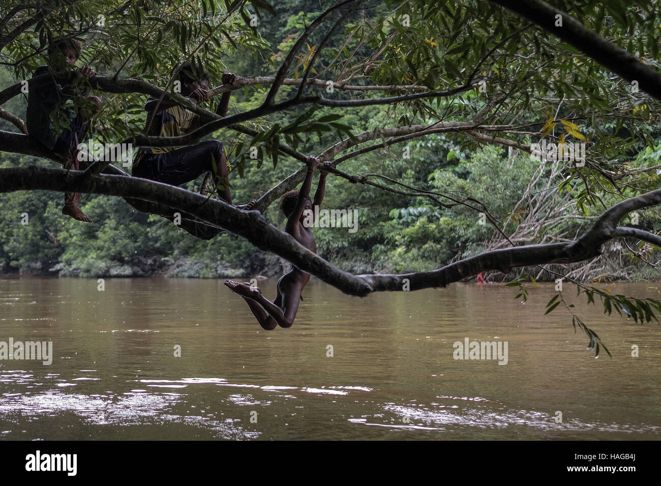 Gua Musang, Kelantan, Malaysia. 22nd Nov, 2016. Boys from the Bateq ...