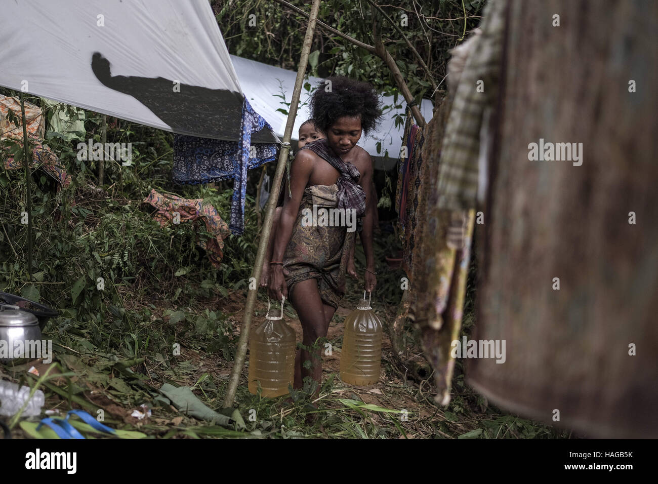 Gua Musang, Kelantan, Malaysia. 22nd Nov, 2016. A woman from the Bateq ...