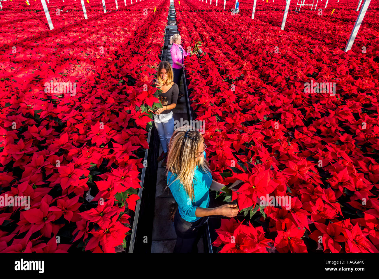 Dispatched hi-res stock photography and images - Alamy