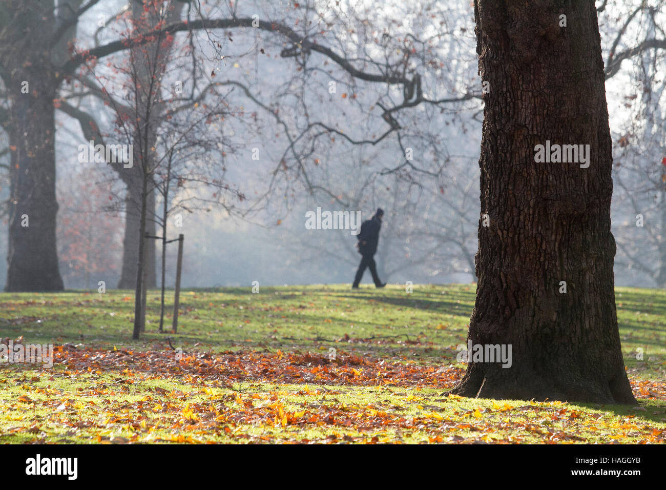 London, UK. 1st December 2016. Londoners walk through Saint James Park ...