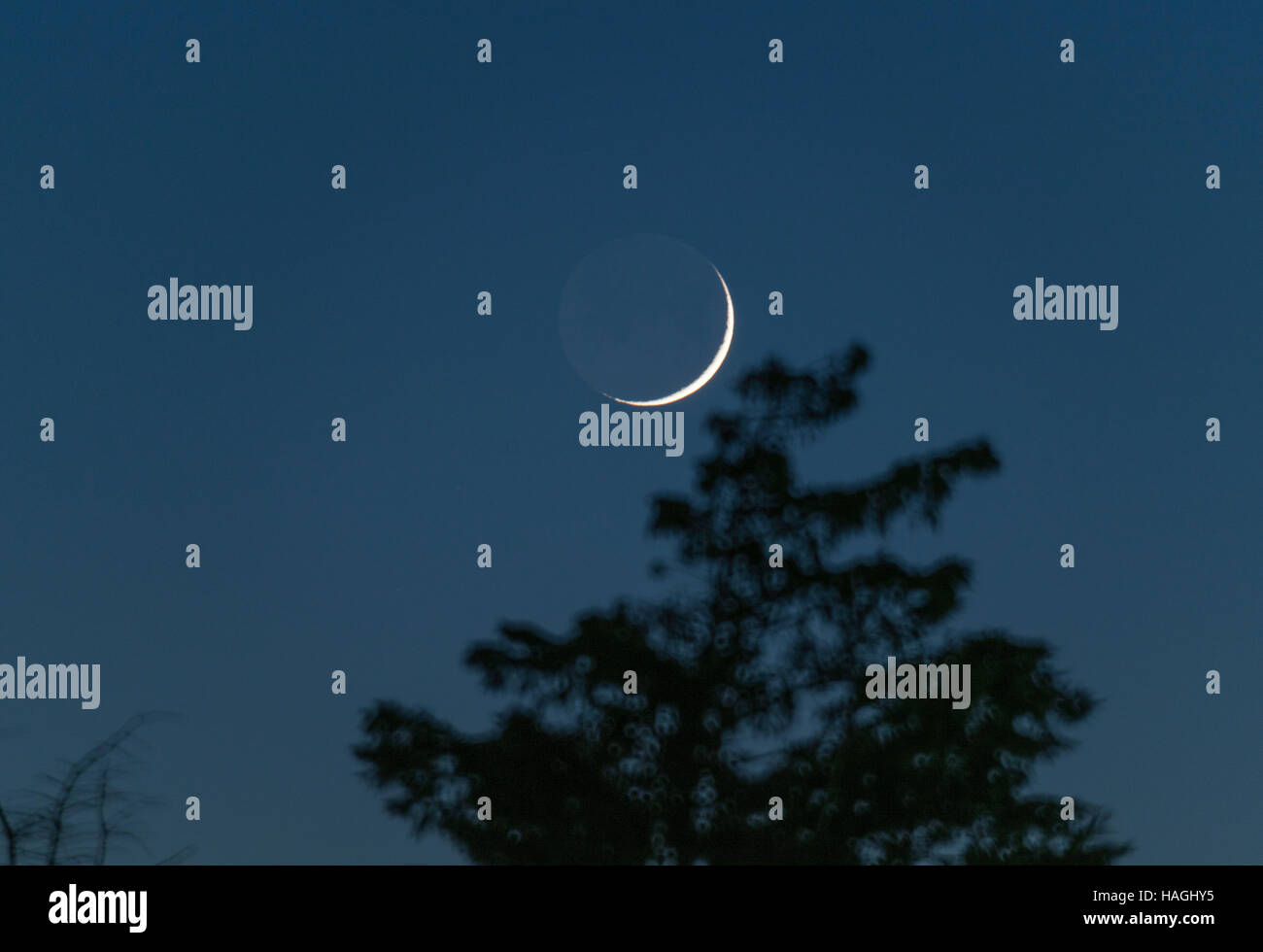 Slender crescent moon hi-res stock photography and images - Alamy