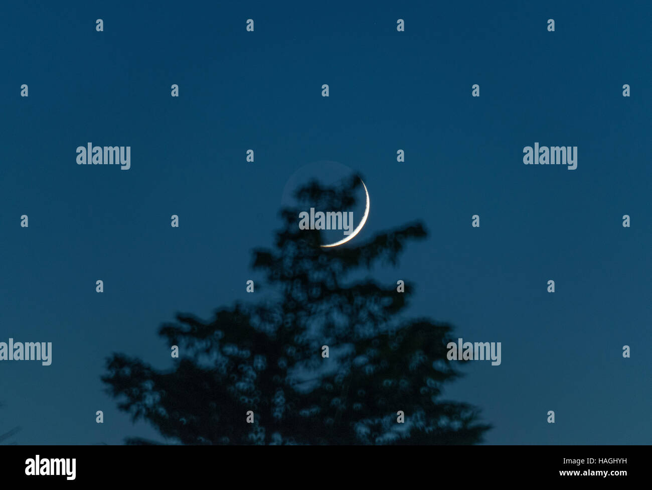 Slender crescent moon hi-res stock photography and images - Alamy
