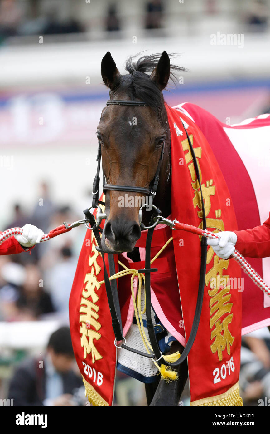 Queens winning horse hi-res stock photography and images - Alamy