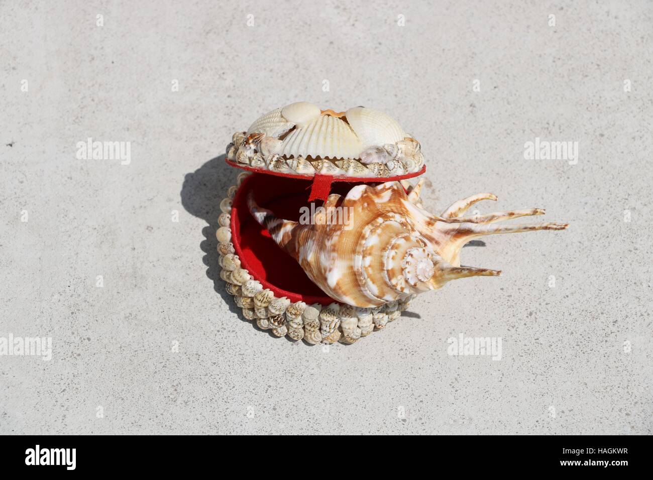 Shell project hi-res stock photography and images - Alamy