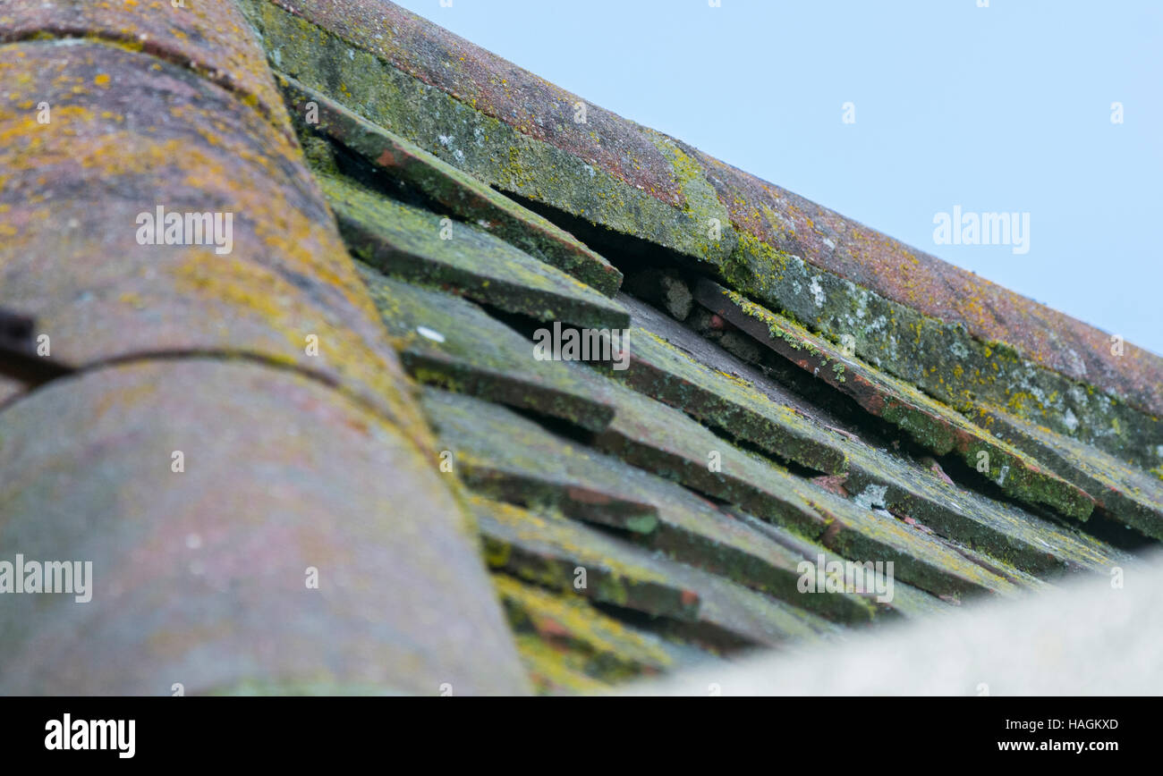 Tiles missing hi-res stock photography and images - Alamy