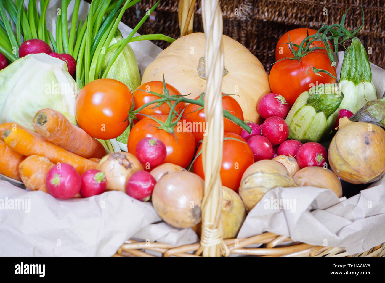 Different kinds of vegetables picked in the harvest basket Stock Photo ...