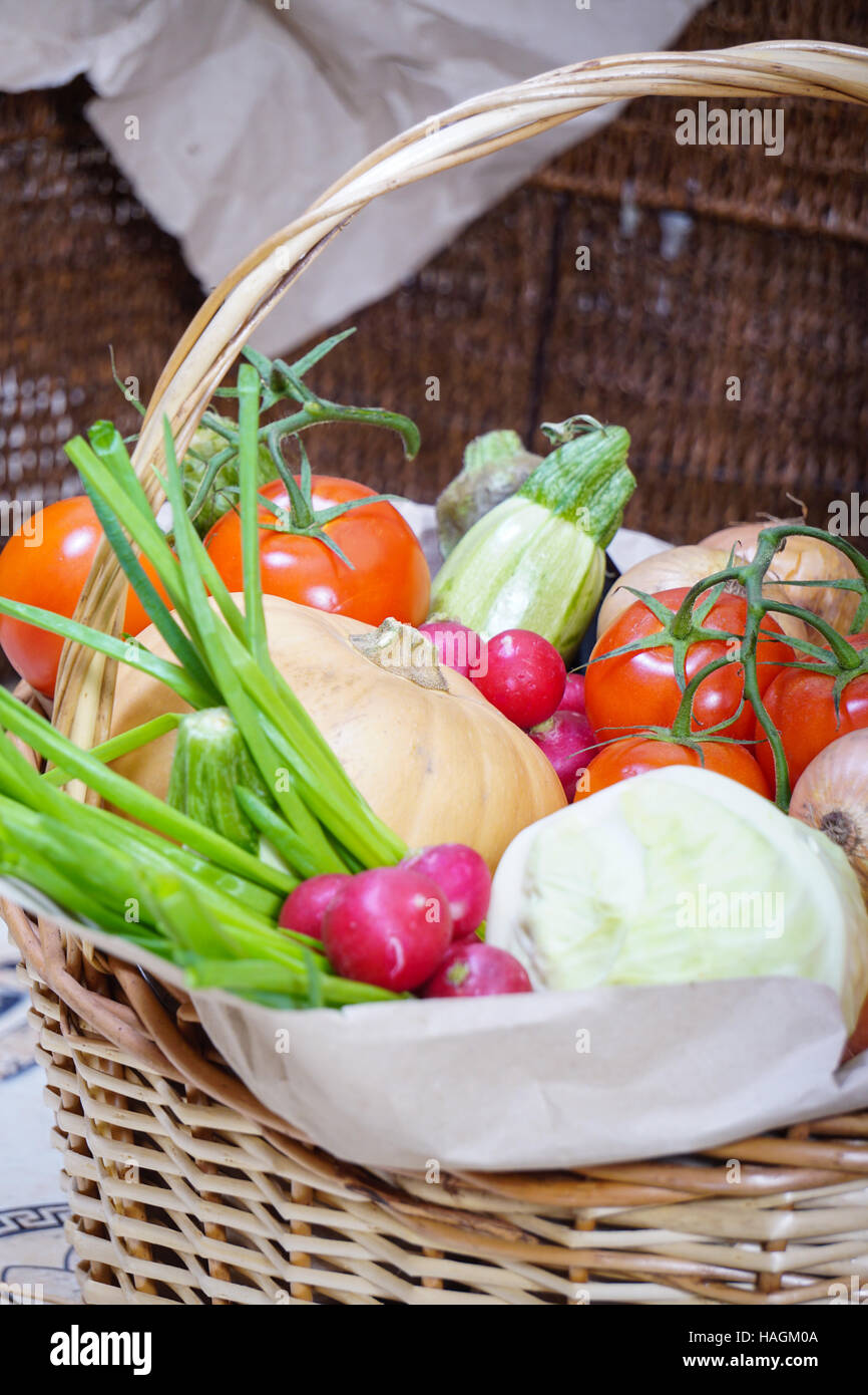 Different kinds of vegetables picked in the harvest basket Stock Photo ...