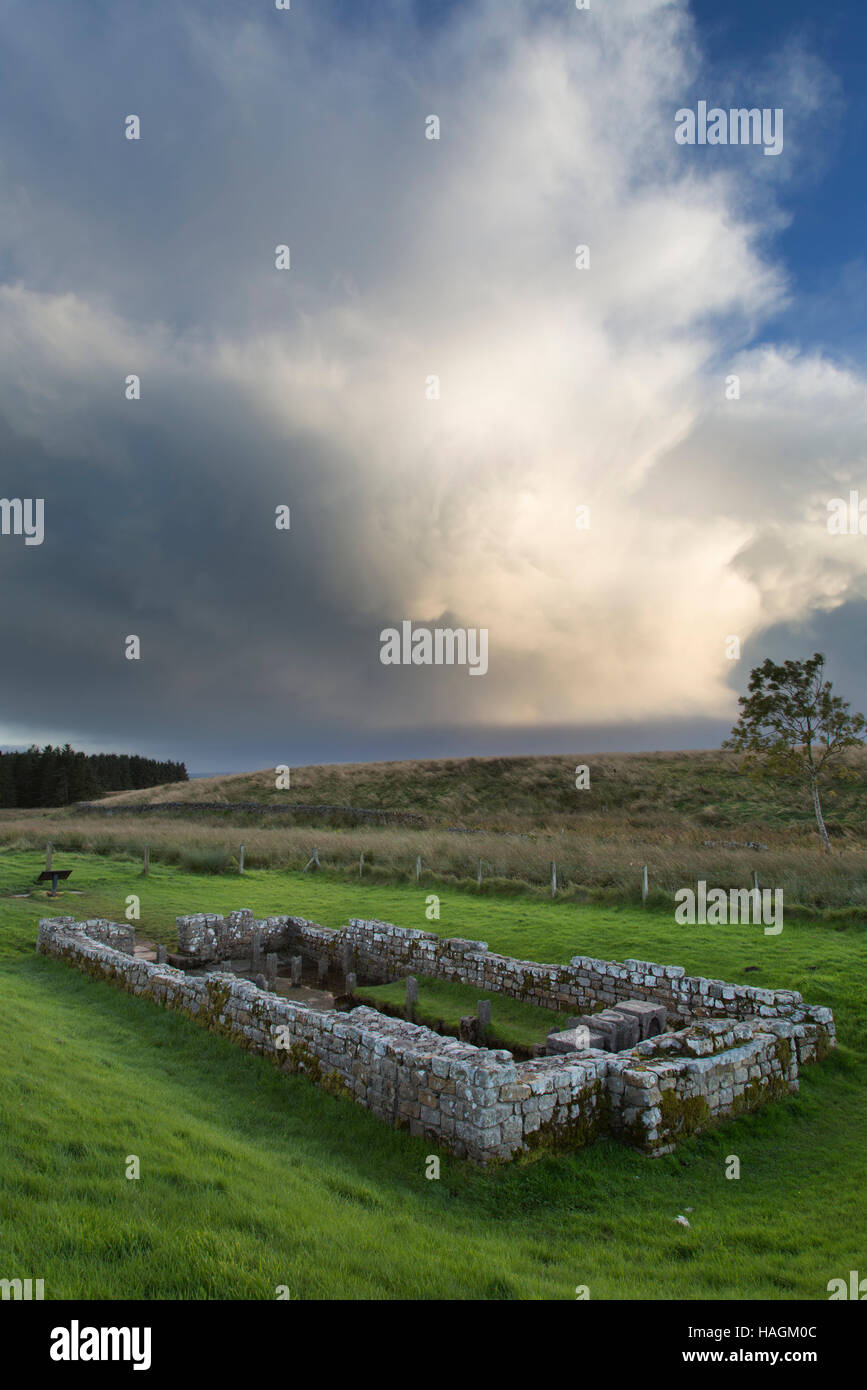Mithraic Temple at Carrawburgh, Hadrian's Wall, Northumberland Stock ...