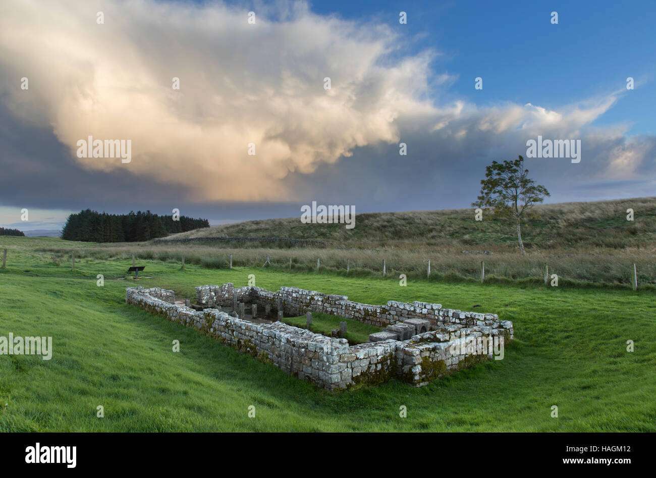Mithraic Temple at Carrawburgh, Hadrian's Wall, Northumberland Stock ...