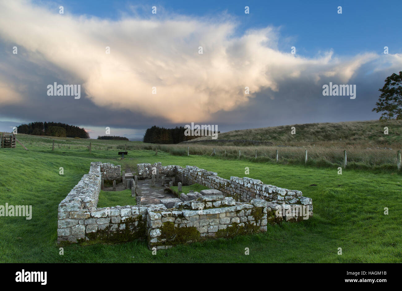Mithraic Temple at Carrawburgh, Hadrian's Wall, Northumberland Stock ...