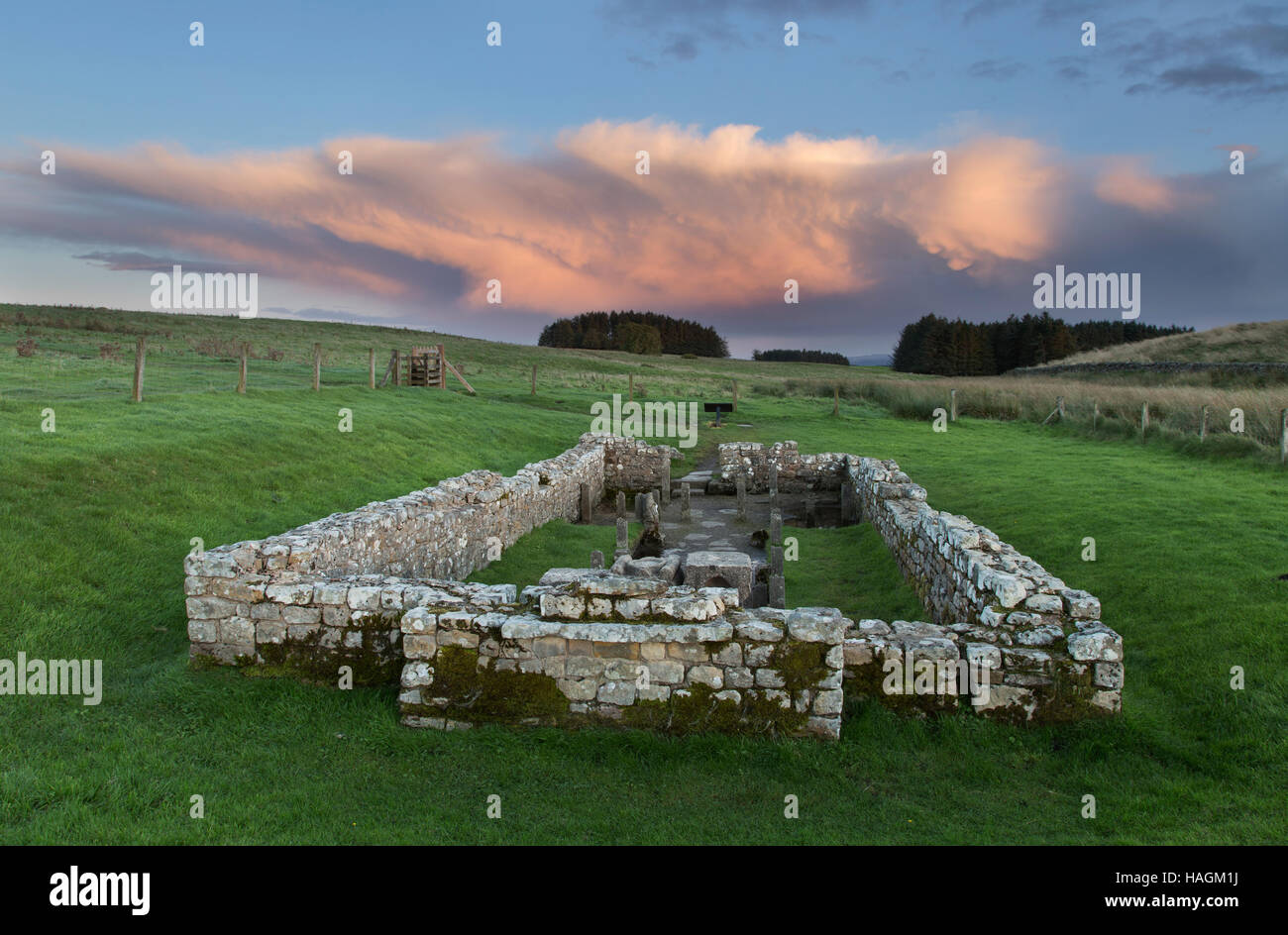 Mithraic Temple at Carrawburgh, Hadrian's Wall, Northumberland Stock ...
