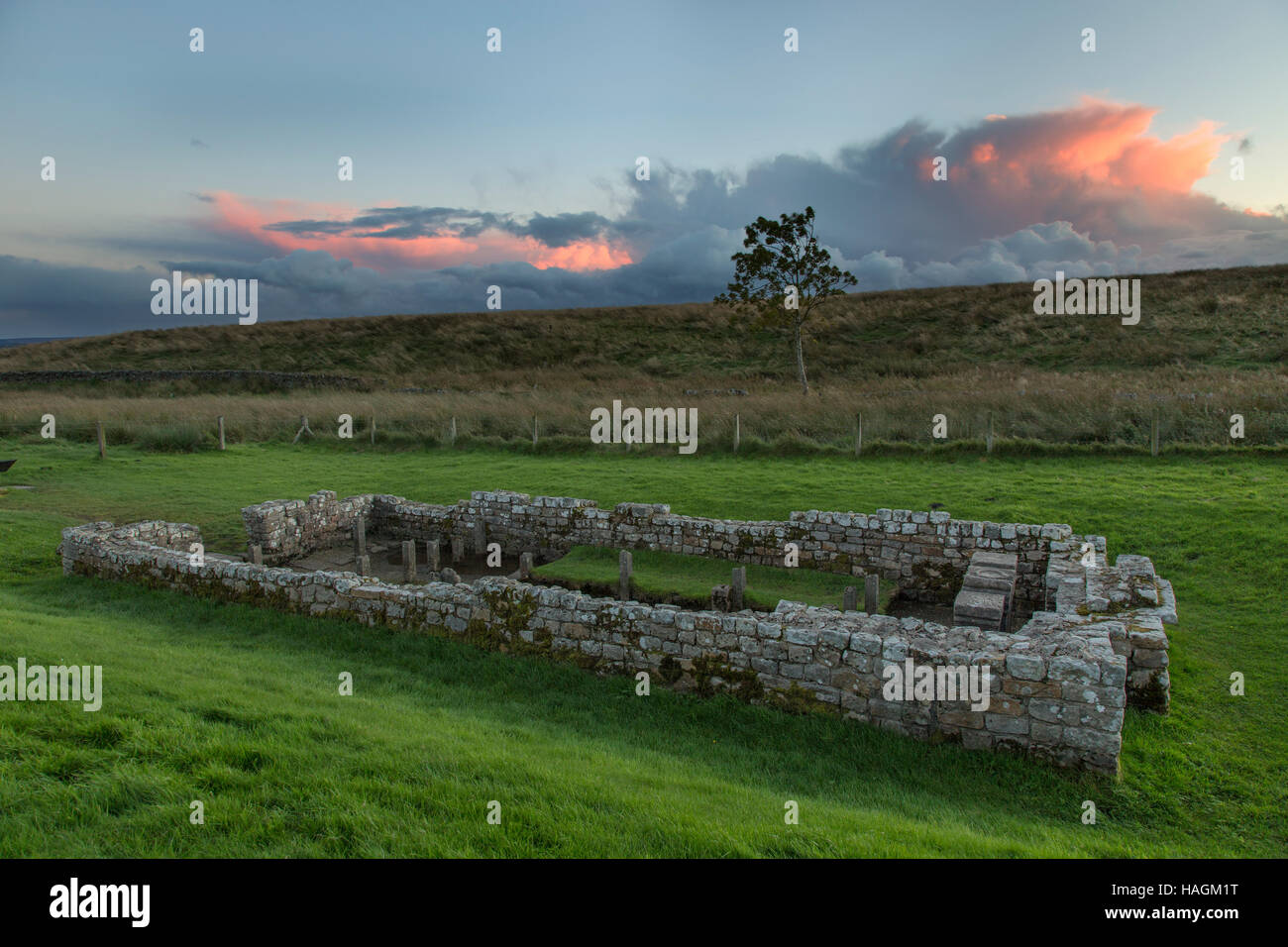 Mithraic Temple at Carrawburgh, Hadrian's Wall, Northumberland Stock ...
