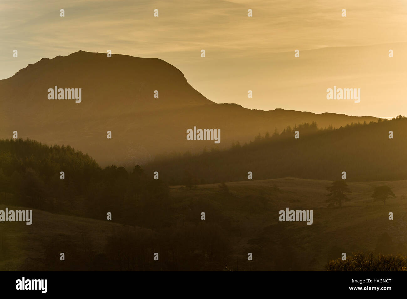 Drws y coed hi-res stock photography and images - Alamy