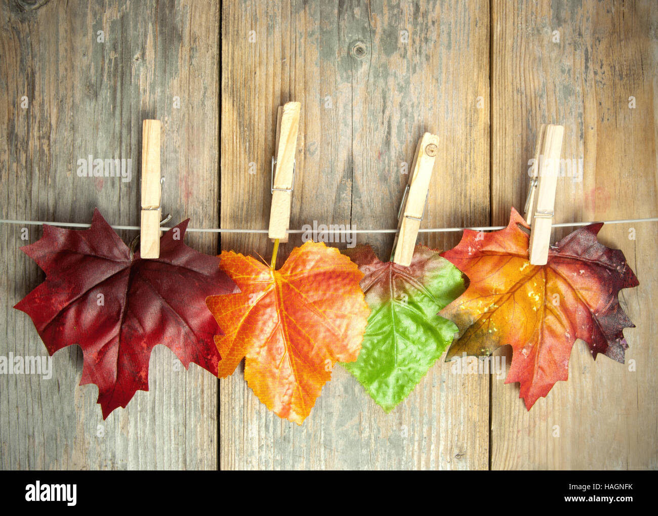 Leave Hanging Stock Photos & Leave Hanging Stock Images - Alamy