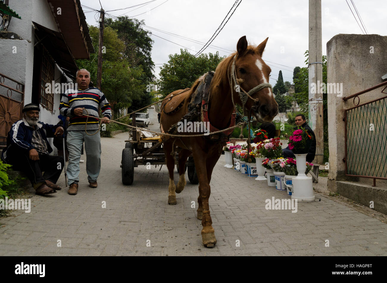 Black man wagon horse hi-res stock photography and images - Alamy